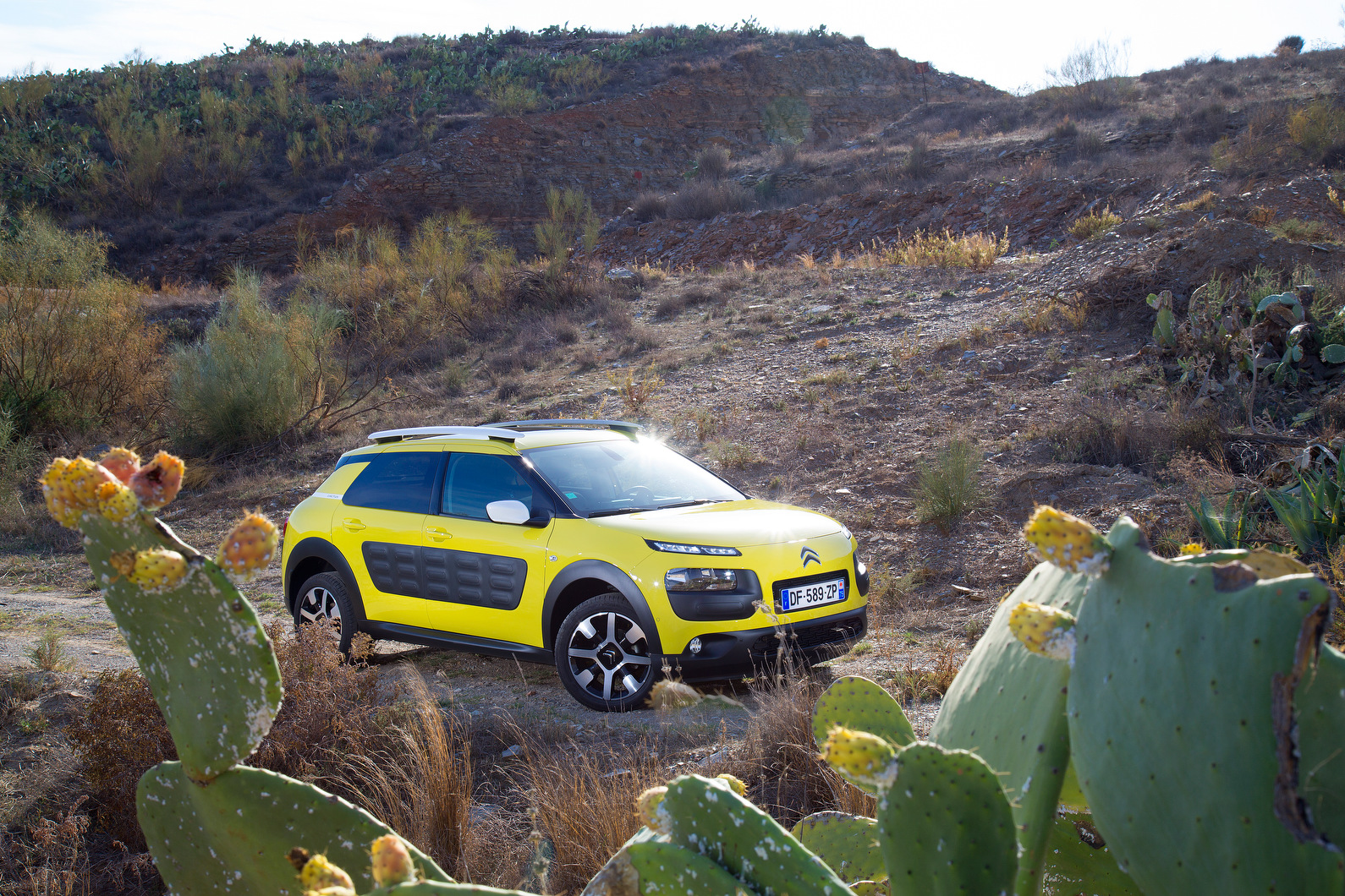 Citroën C4 Cactus versus the desert – picture special | Autocar