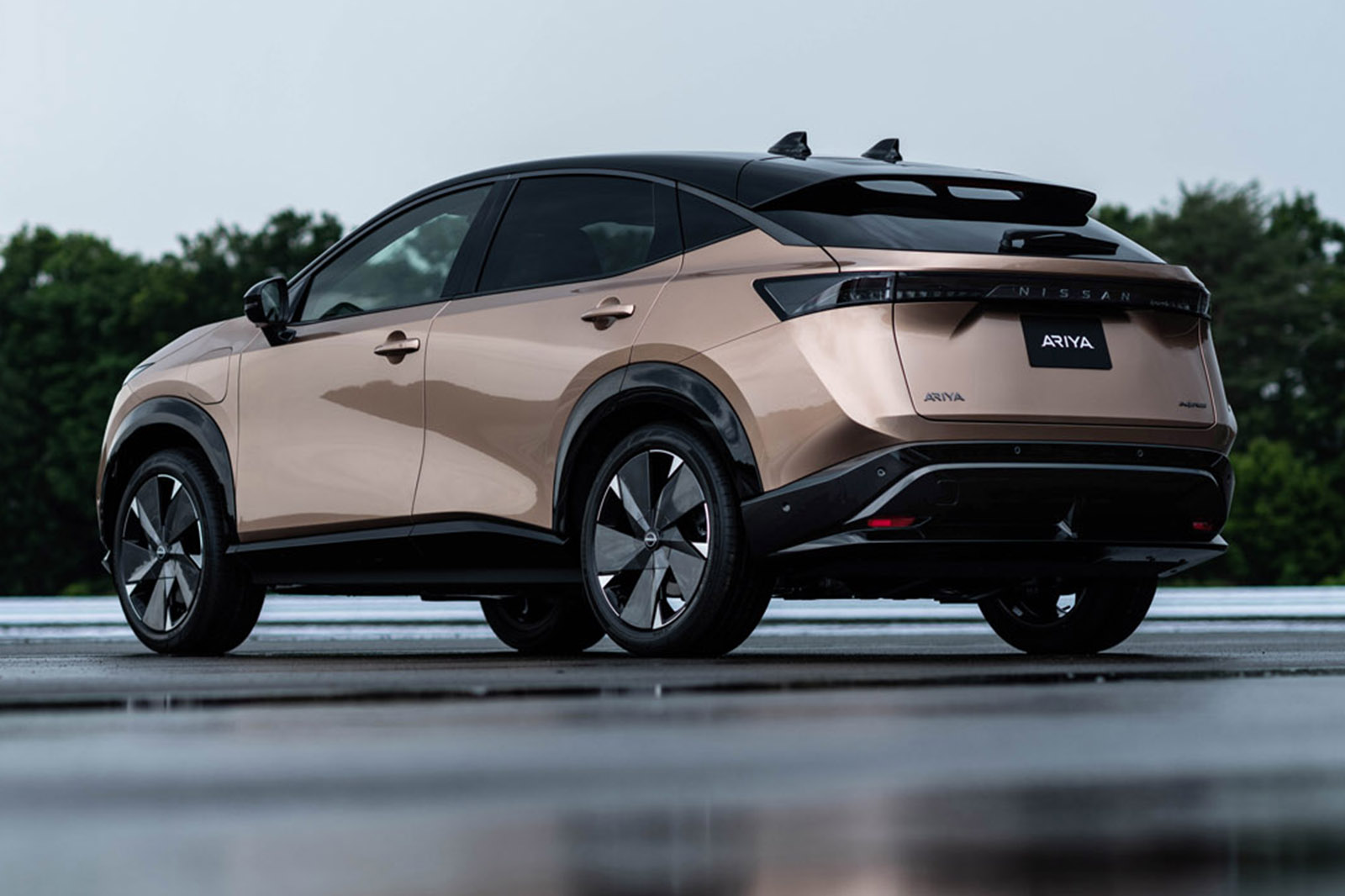 Will fortune favour brave Nissan? | Autocar