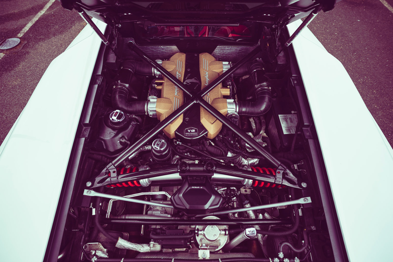 Lamborghini Countach Engine