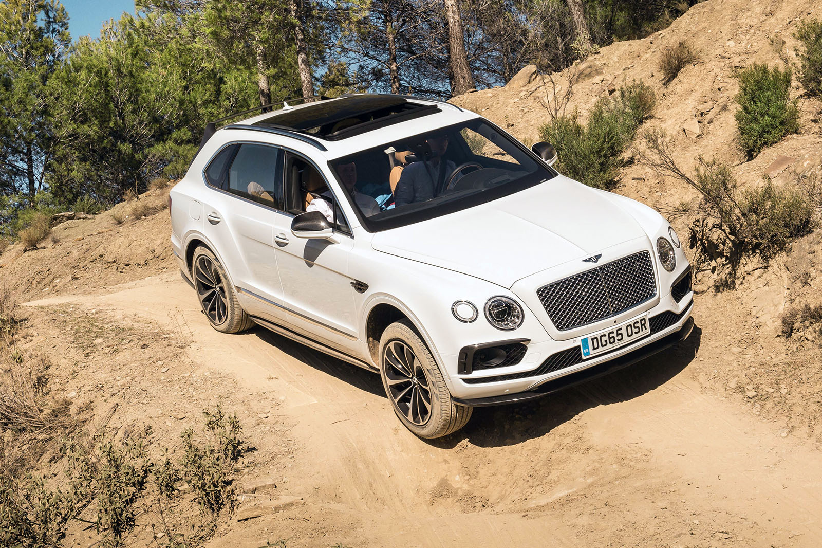 The winners and losers in 2016's UK car market | Autocar