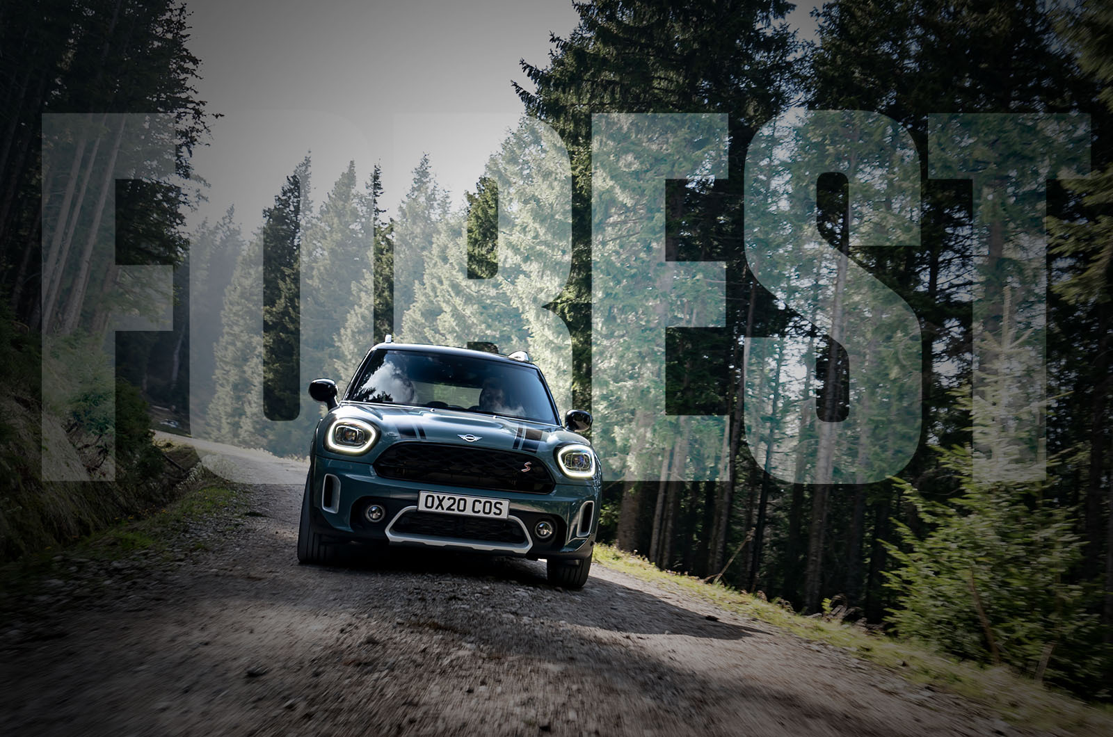 Promoted | The new MINI Countryman: enjoy an epic forest adventure ...