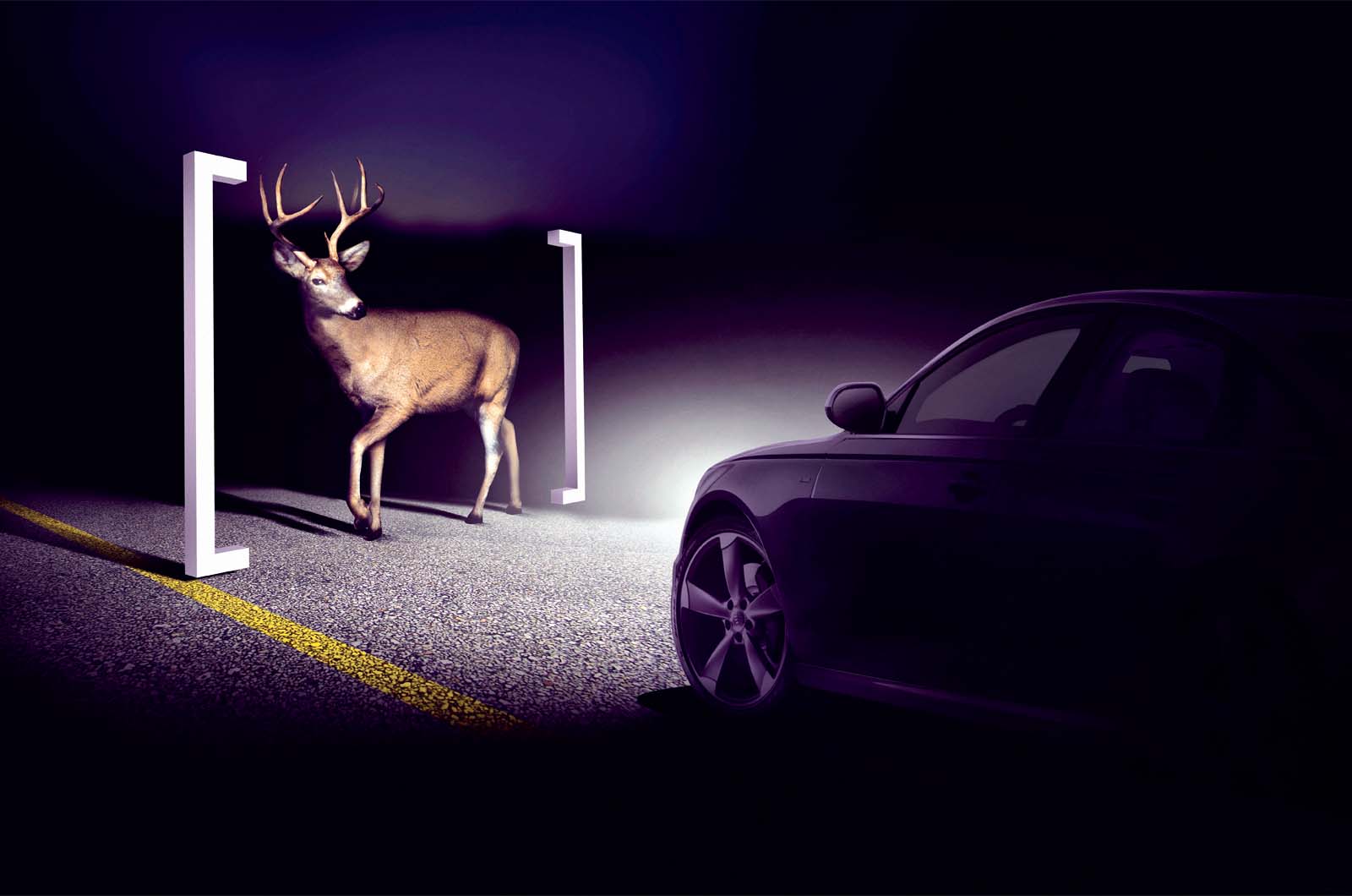 How Magna developed cameras to allow cars to see in the dark - WSG ...