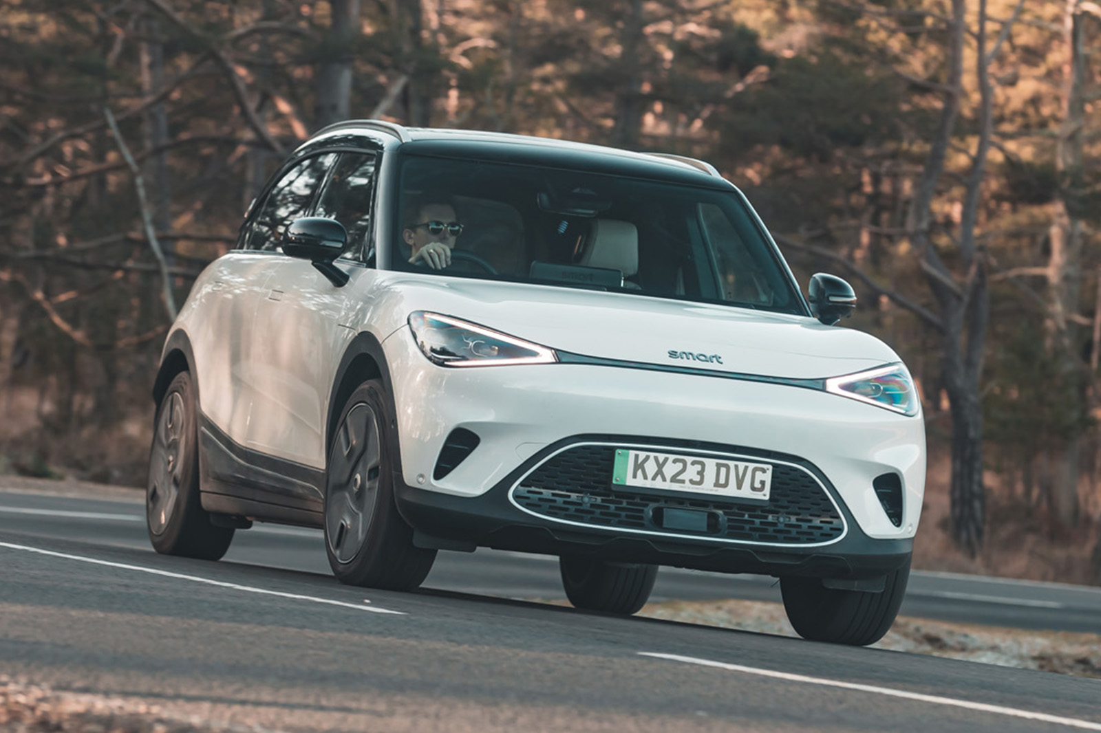 Smart #1 2024 long-term test - WSG Consumer Knowledge Hub