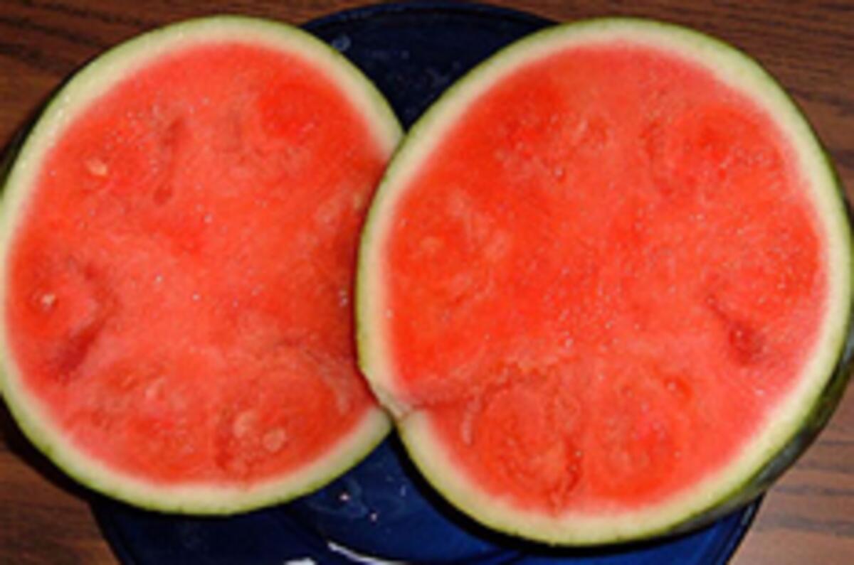 Watermelon powered cars | Autocar