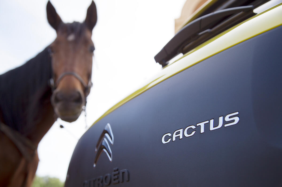 Citroën C4 Cactus versus the desert – picture special | Autocar