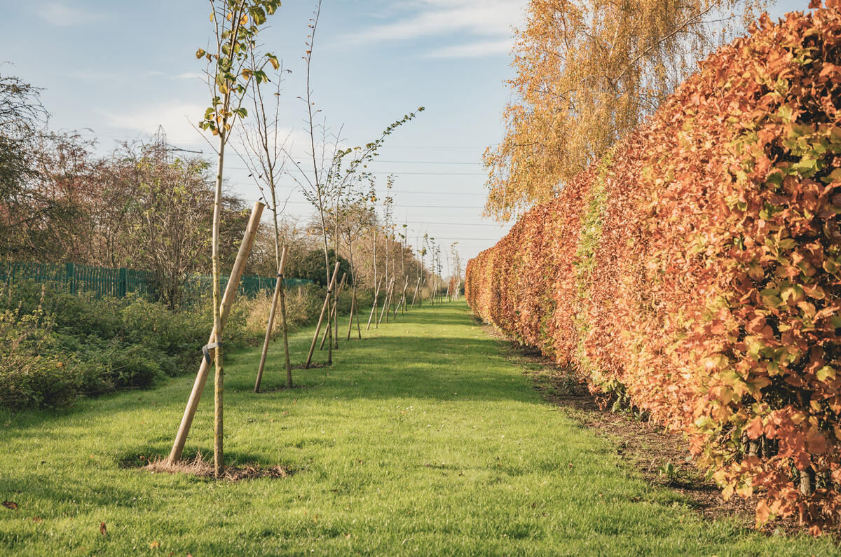 Creature comforts: How Bentley is going green with bat boxes | Autocar