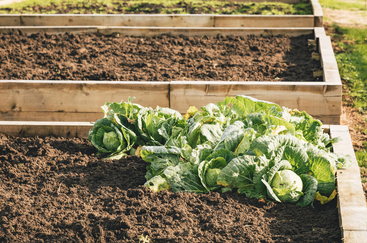 Creature comforts: How Bentley is going green with bat boxes | Autocar