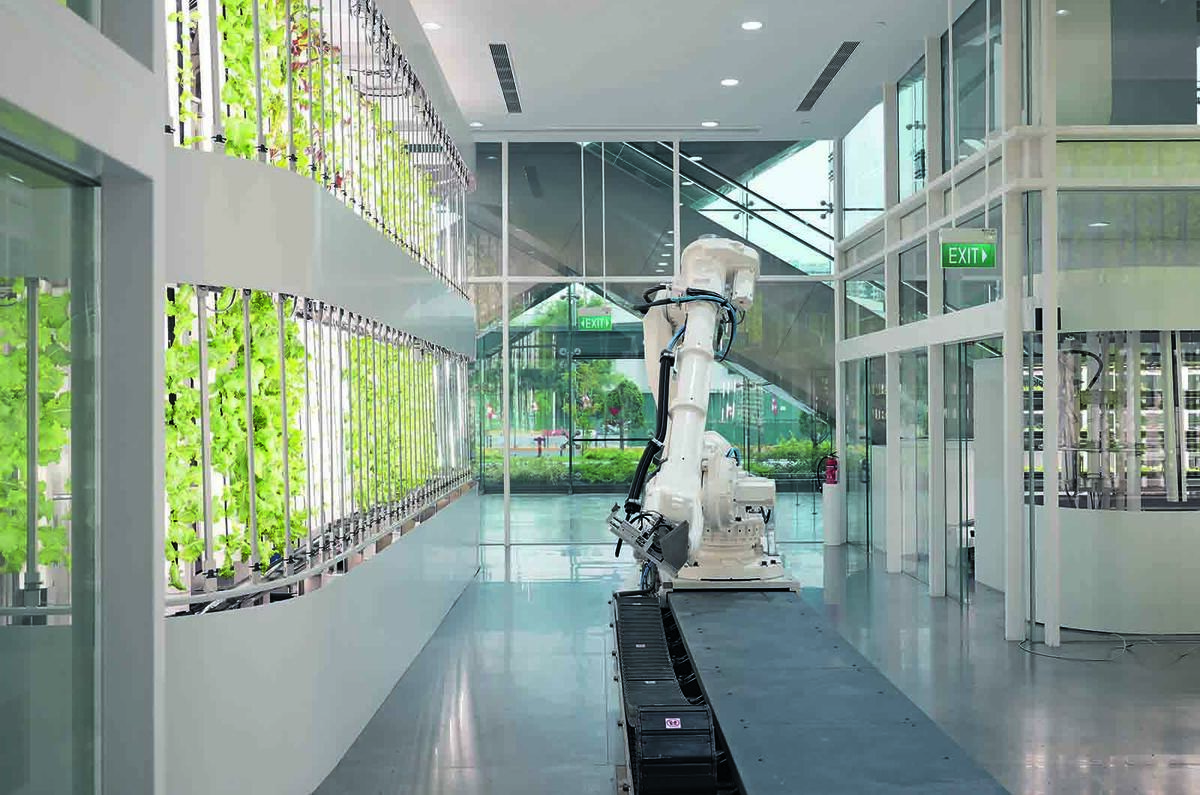 Hyundai opens new AI factory with robot dogs and on-site farm | Autocar