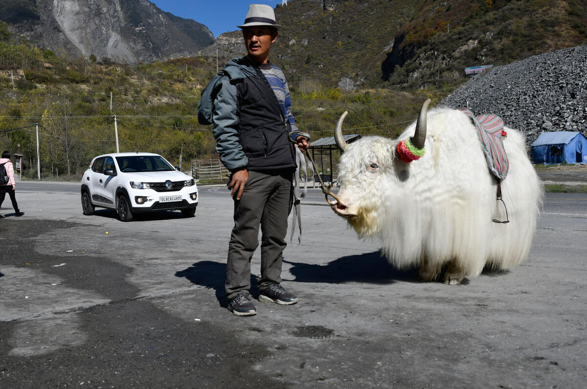 Renault Kwid: around the globe in the world's cheapest car | Autocar