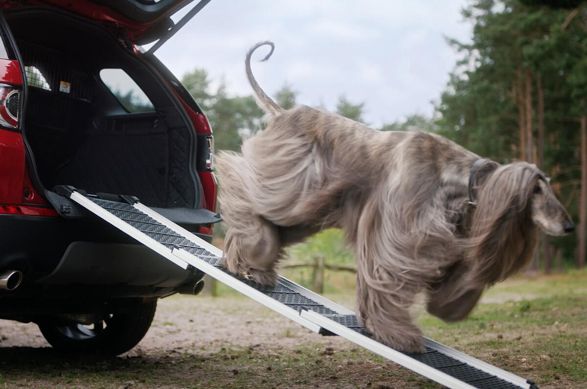 Land Rover Pet Packs revealed as official accessories | Autocar