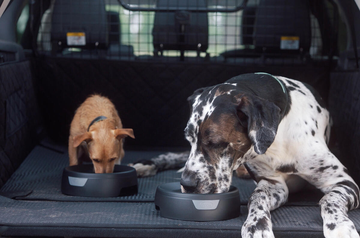 Land Rover Pet Packs revealed as official accessories | Autocar