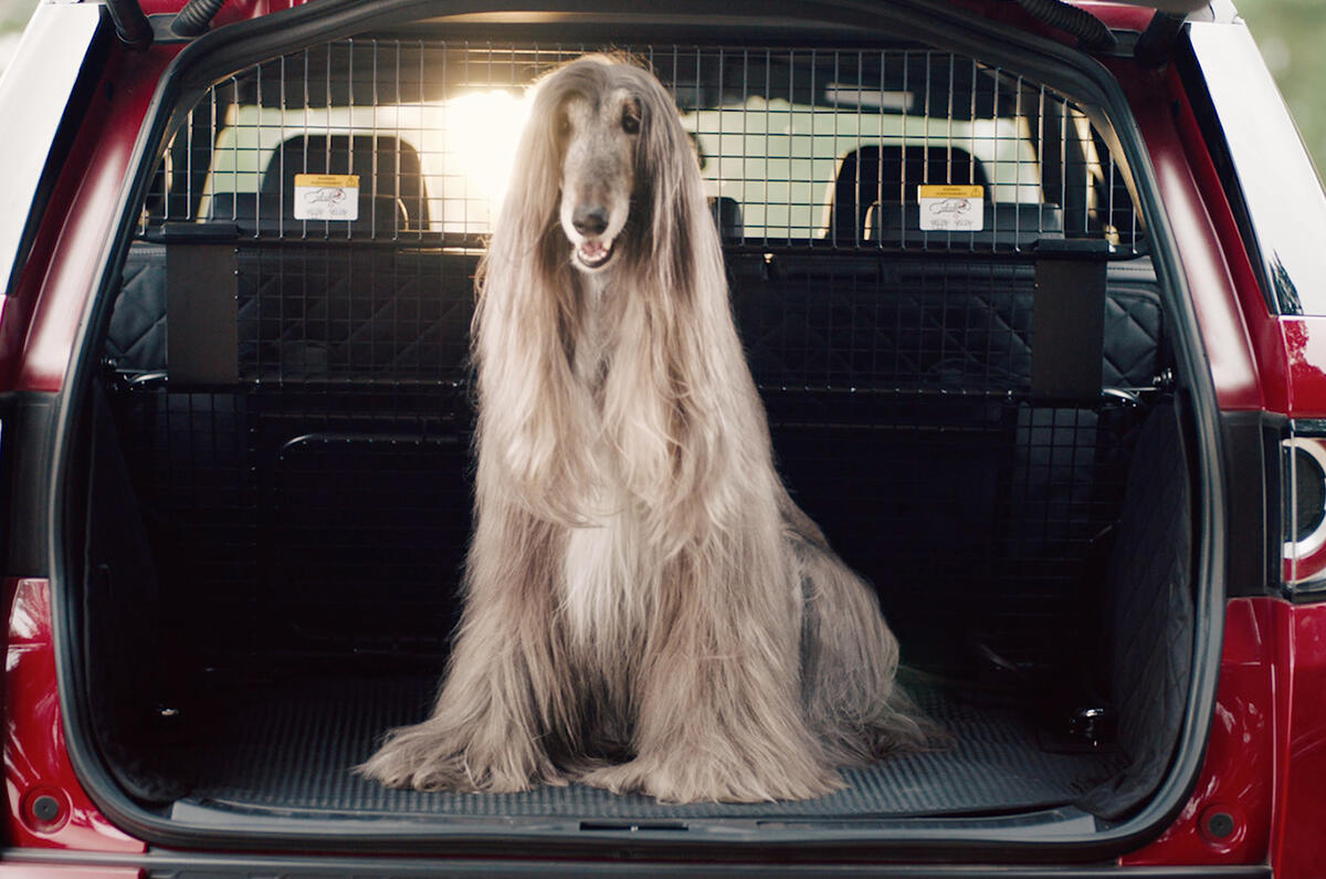 Land Rover Pet Packs revealed as official accessories | Autocar