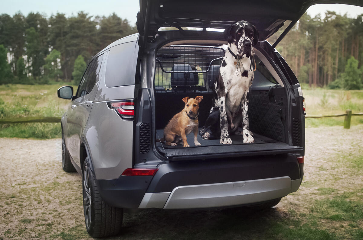Land Rover Pet Packs revealed as official accessories | Autocar