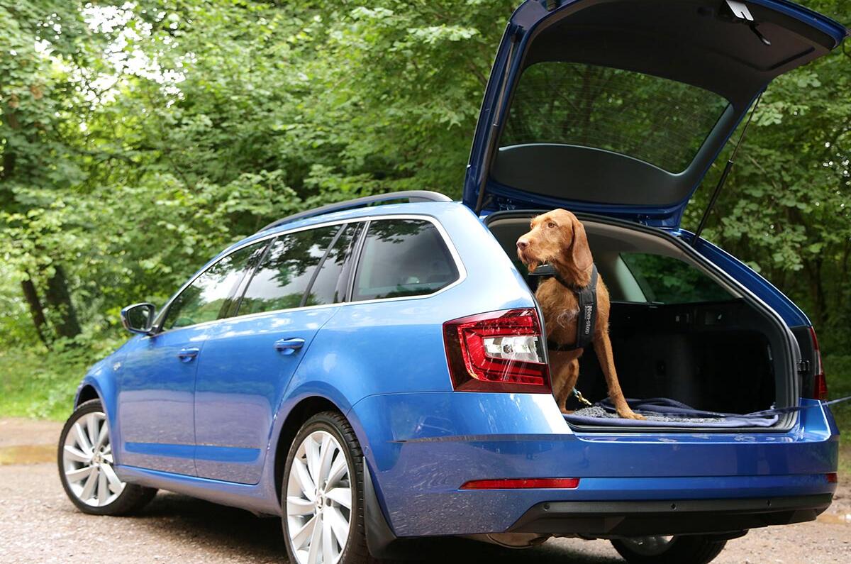 Promoted: The Skoda Octavia - What Drives Jack and Alice? | Autocar